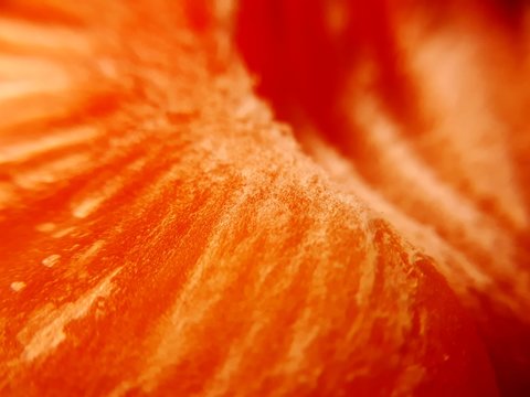 Mandari Images – Browse 47 Stock Photos, Vectors, and Video | Adobe Stock