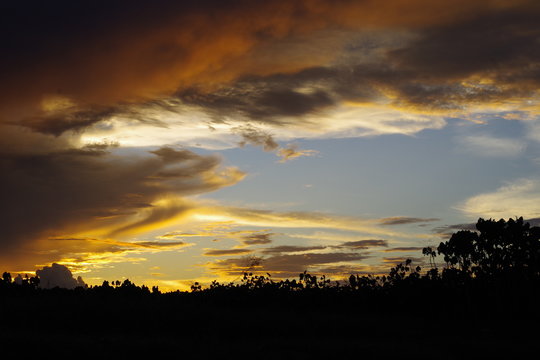 「Amazonien」の画像 - 760 件の Stock 写真、ベクターおよびビデオ | Adobe Stock