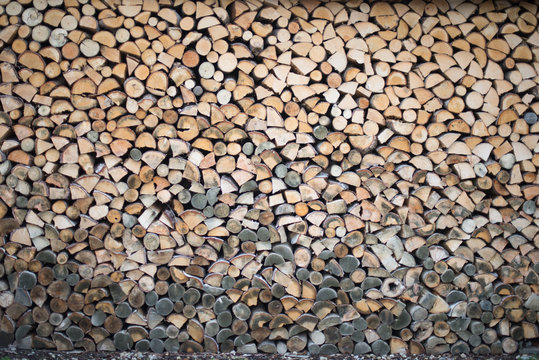 「Sife」の写真素材 | 25件の無料イラスト画像 | Adobe Stock