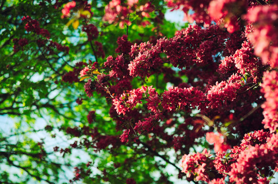 Justin Mulder photos, images, assets | Adobe Stock