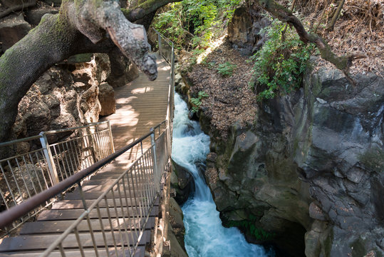 รูปภาพPanias – เลือกดูภาพถ่ายสต็อก เวกเตอร์ และวิดีโอ1,215 | Adobe Stock