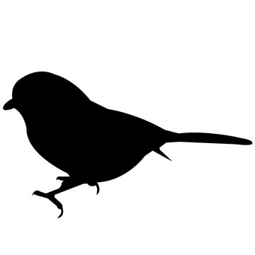 Chickadee Silhouette