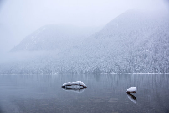 รูปภาพWack – เลือกดูภาพถ่ายสต็อก เวกเตอร์ และวิดีโอ489 | Adobe Stock