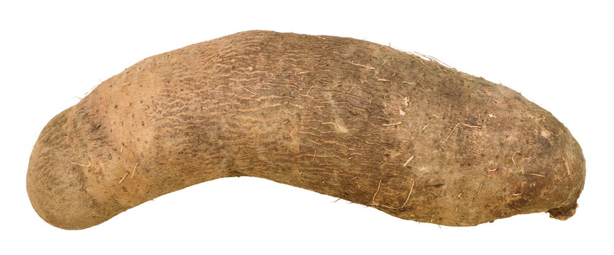 รูปภาพAlata – เลือกดูภาพถ่ายสต็อก เวกเตอร์ และวิดีโอ1,800 | Adobe Stock