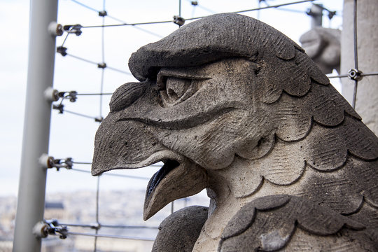 Gargora Images – Browse 3 Stock Photos, Vectors, and Video | Adobe Stock