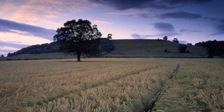 "Great Britain" Bilder – Durchsuchen 1,695,111 Archivfotos ...