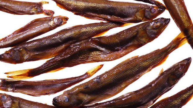 Candlefish Images – Browse 220 Stock Photos, Vectors, and Video | Adobe ...