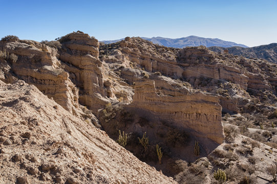 Poronga Images – Browse 13 Stock Photos, Vectors, and Video | Adobe Stock