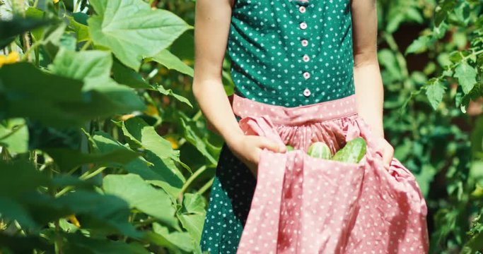 Pinafore Images – Browse 314,073 Stock Photos, Vectors, and Video ...