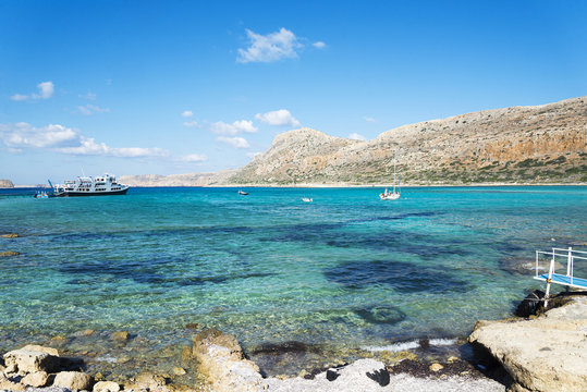 Agria Bilder – Durchsuchen 231 Archivfotos, Vektorgrafiken und Videos ...