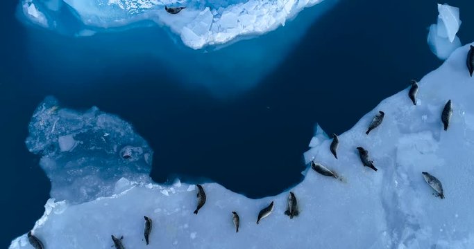 Treibeis Bilder – Durchsuchen 22,040 Archivfotos, Vektorgrafiken und ...
