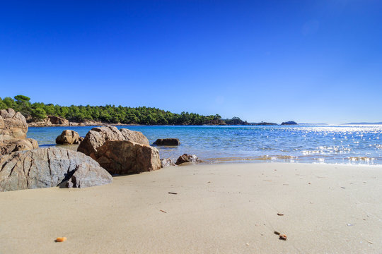 Fotolia - Images et vidéos libres de droits | Adobe Stock