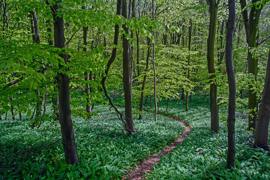 Deister Bilder – Durchsuchen 281 Archivfotos, Vektorgrafiken und Videos ...