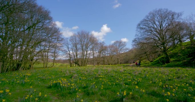 Farndale-Bilder: Stock-Fotos & -Videos. | Adobe Stock
