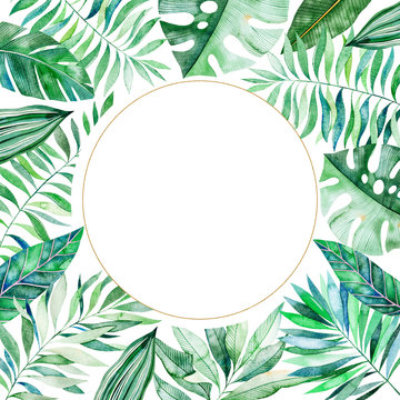 "Tropical Frame" Images – Browse 542 Stock Photos, Vectors, and Video ...