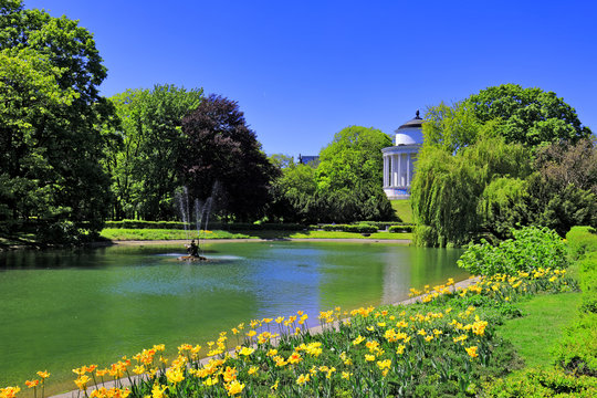 Saski Bilder – Durchsuchen 321 Archivfotos, Vektorgrafiken und Videos ...