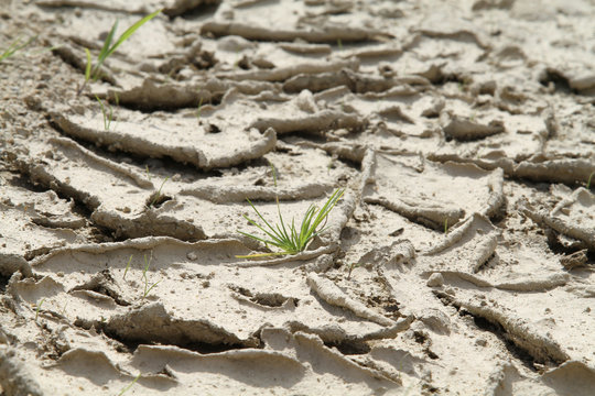 Matsch Bilder – Durchsuchen 4,836 Archivfotos, Vektorgrafiken und ...