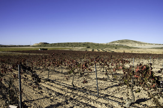 รูปภาพJumilla – เลือกดูภาพถ่ายสต็อก เวกเตอร์ และวิดีโอ362 | Adobe Stock