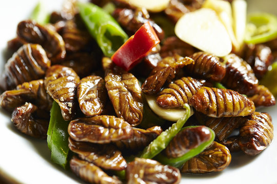 Imágenes de Beondegi: descubre bancos de fotos, ilustraciones, vectores ...