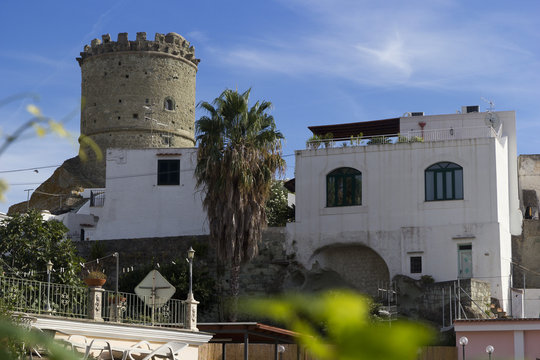 「Torone」の写真素材 | 20件の無料イラスト画像 | Adobe Stock