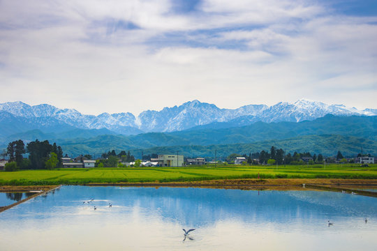 รูปภาพToyama – เลือกดูภาพถ่ายสต็อก เวกเตอร์ และวิดีโอ10,466 | Adobe Stock