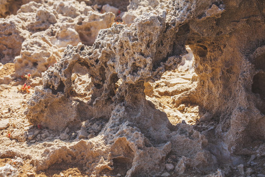 รูปภาพTuff – เลือกดูภาพถ่ายสต็อก เวกเตอร์ และวิดีโอ39,119 | Adobe Stock