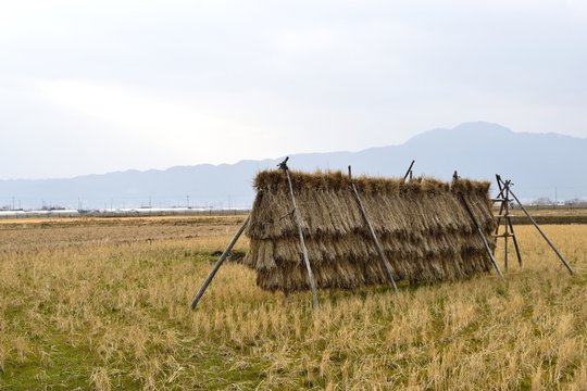 Al-Hasaka-Bilder: Stock-Fotos & -Videos. | Adobe Stock