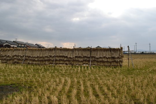 Al-Hasaka-Bilder: Stock-Fotos & -Videos. | Adobe Stock