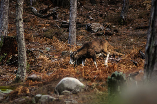 Daniel BURON photos, images, assets | Adobe Stock