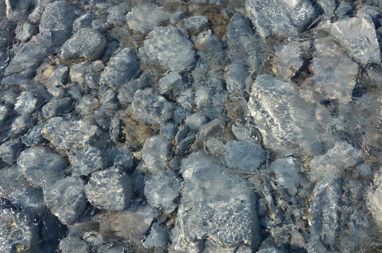 รูปภาพRivel – เลือกดูภาพถ่ายสต็อก เวกเตอร์ และวิดีโอ170 | Adobe Stock