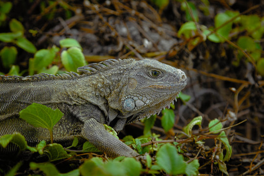 Justin Mulder photos, images, assets | Adobe Stock