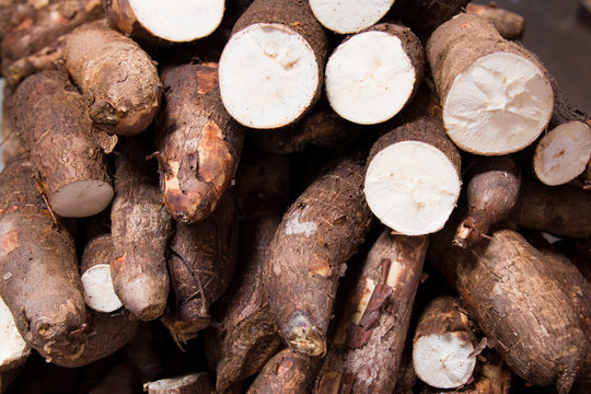 รูปภาพCassava – เลือกดูภาพถ่ายสต็อก เวกเตอร์ และวิดีโอ27,732 | Adobe Stock