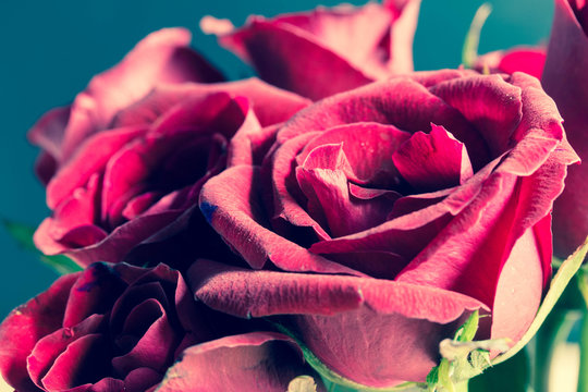 รูปภาพFiower – เลือกดูภาพถ่ายสต็อก เวกเตอร์ และวิดีโอ228 | Adobe Stock