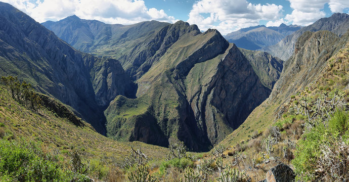 รูปภาพCochas – เลือกดูภาพถ่ายสต็อก เวกเตอร์ และวิดีโอ197 | Adobe Stock