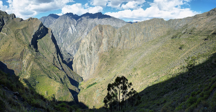 รูปภาพCochas – เลือกดูภาพถ่ายสต็อก เวกเตอร์ และวิดีโอ197 | Adobe Stock