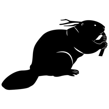 Beaver Outline