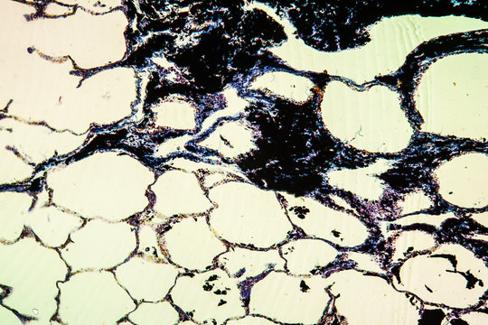 Meldepflicht bilder – Bläddra bland 124 stockfoton, vektorer och videor ...