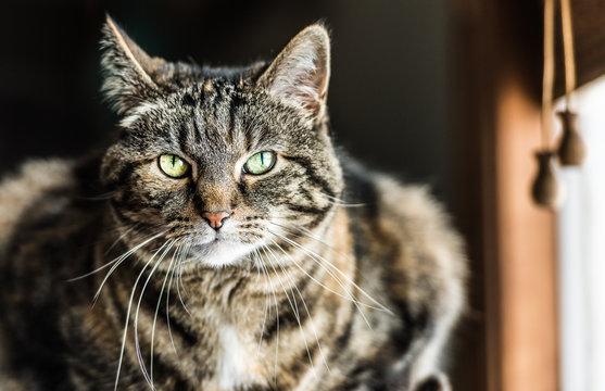 Norma Stitz photos, images, assets | Adobe Stock