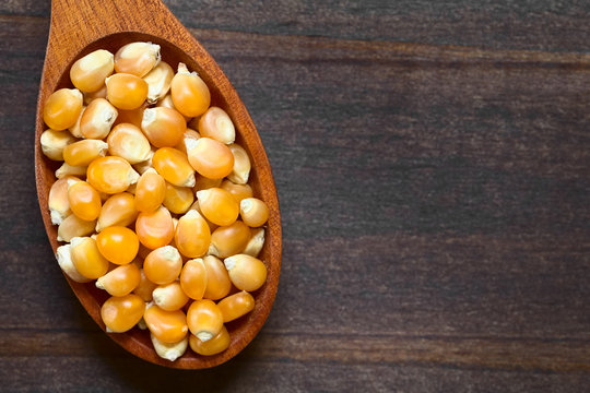 รูปภาพPuffmais – เลือกดูภาพถ่ายสต็อก เวกเตอร์ และวิดีโอ258 | Adobe Stock