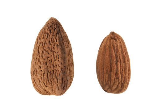 Imágenes de Mandelkern: descubre bancos de fotos, ilustraciones ...