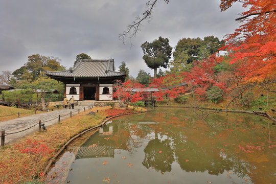 Chion 이미지 – 찾아보기 223 스톡 사진, 벡터 및 비디오 | Adobe Stock