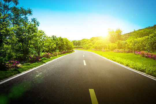 13,980 BEST Forest Road Side View IMAGES, STOCK PHOTOS & VECTORS ...