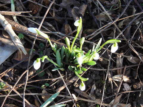 Horstbildend Images – Browse 28 Stock Photos, Vectors, and Video ...