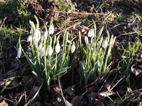 Horstbildend Images – Browse 28 Stock Photos, Vectors, and Video ...