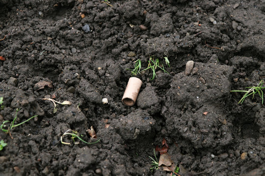 รูปภาพSquib – เลือกดูภาพถ่ายสต็อก เวกเตอร์ และวิดีโอ1,663 | Adobe Stock