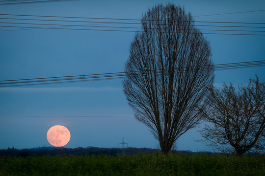 รูปภาพMondbahn – เลือกดูภาพถ่ายสต็อก เวกเตอร์ และวิดีโอ92 | Adobe Stock
