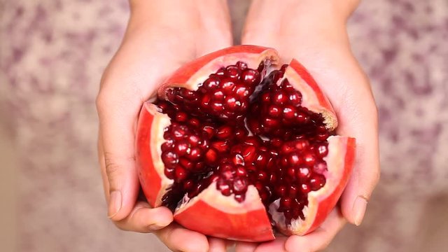 Pomegranate Hand Images – Browse 22,364 Stock Photos, Vectors, and ...
