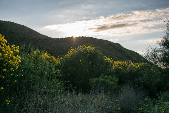 "Salida Del Sol" Bilder – Durchsuchen 856 Archivfotos, Vektorgrafiken ...