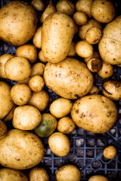 Potatis bilder – Bläddra bland 1,410,150 stockfoton, vektorer och ...