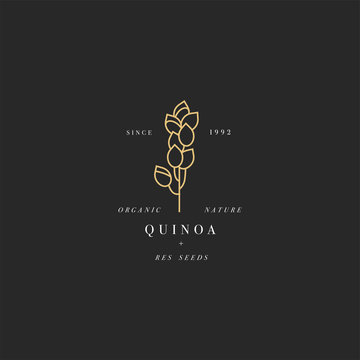 Quinua Logo Quinua Real Quinoa Soffiata Bio By La Finestra Sul